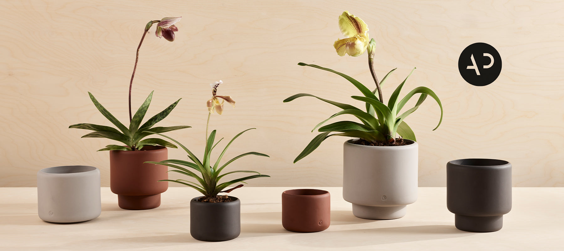 Aaron Probyn Design Collection available at USTUDIO